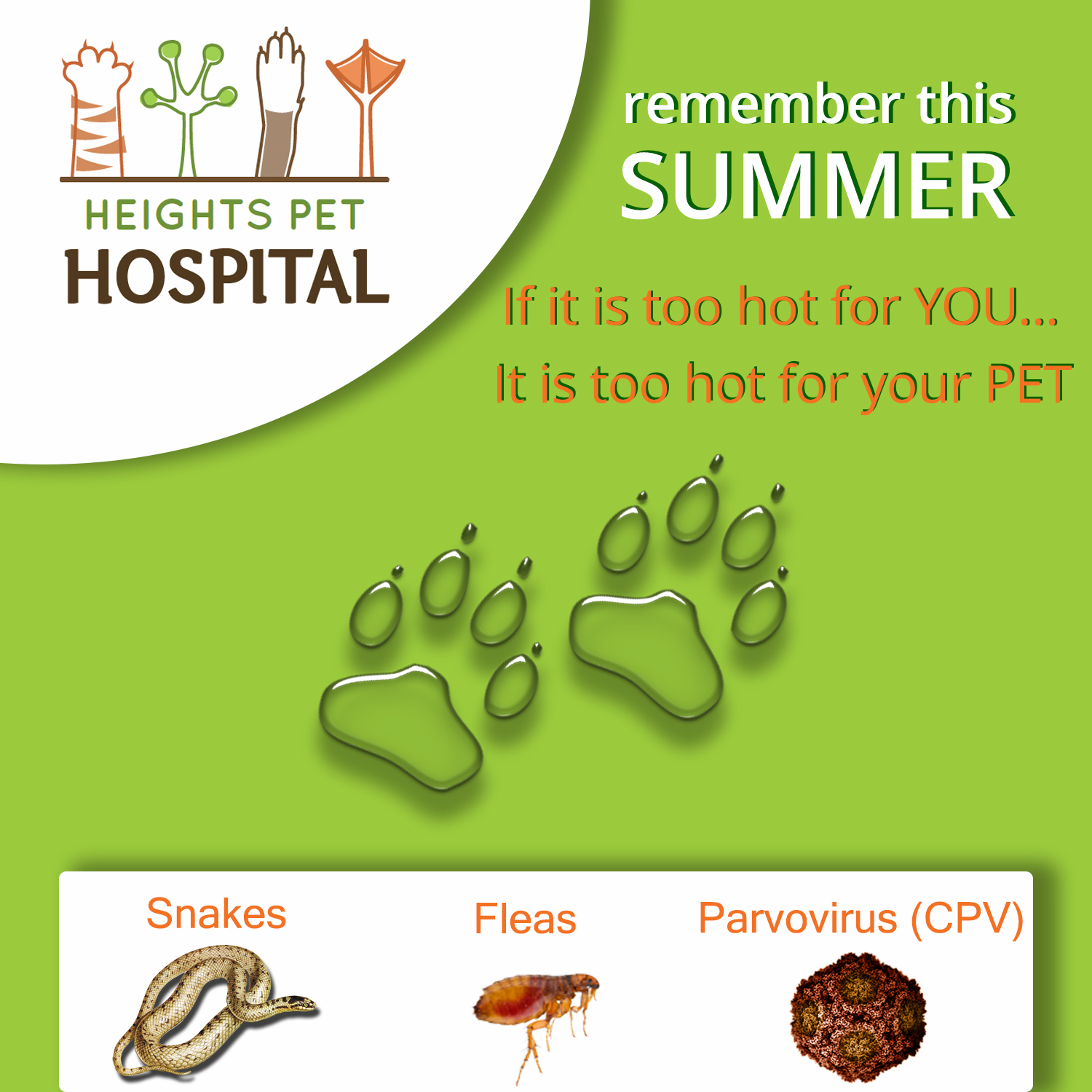 Bold, Colorful, Veterinary Graphic Design for Heights Pet Hospital by ...