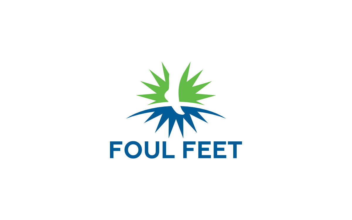 Modern, Elegant, Online Store Logo Design for Foul Feet by ...