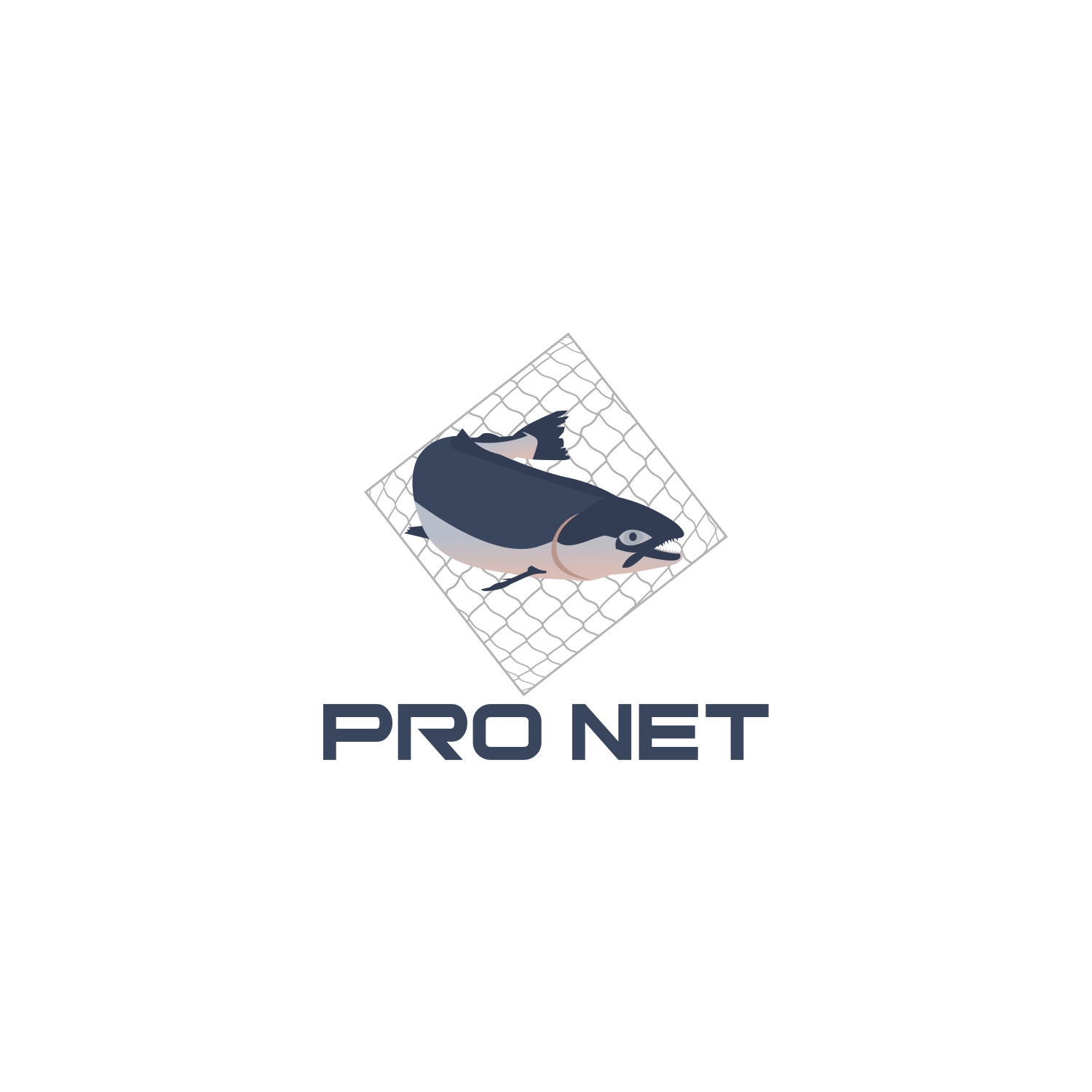 Logo Design for PRO NET by Sarah Graphic | Design #20365858