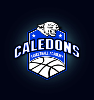High school basketball program - 'Caledon Basketball Academy' - is ...