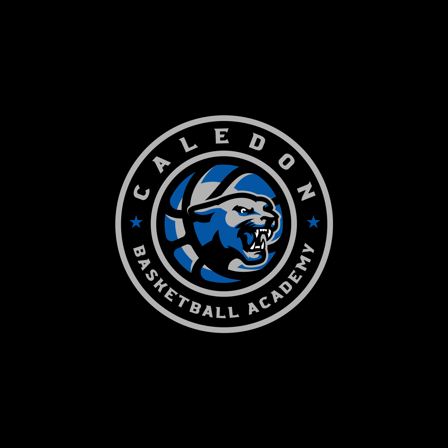Modern, Colorful Logo Design for CALEDON BASKETBALL ACADEMY by ...