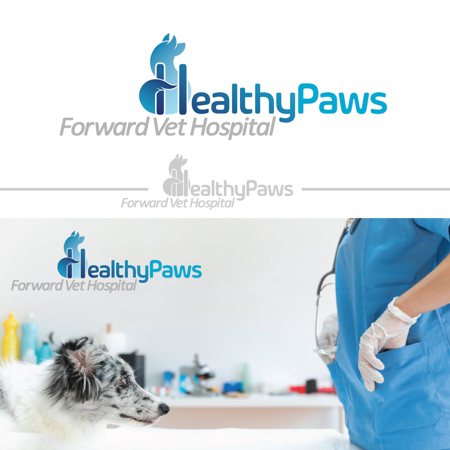 Modern, Colorful, Veterinary Logo Design for Healthy Paws Forward Vet ...