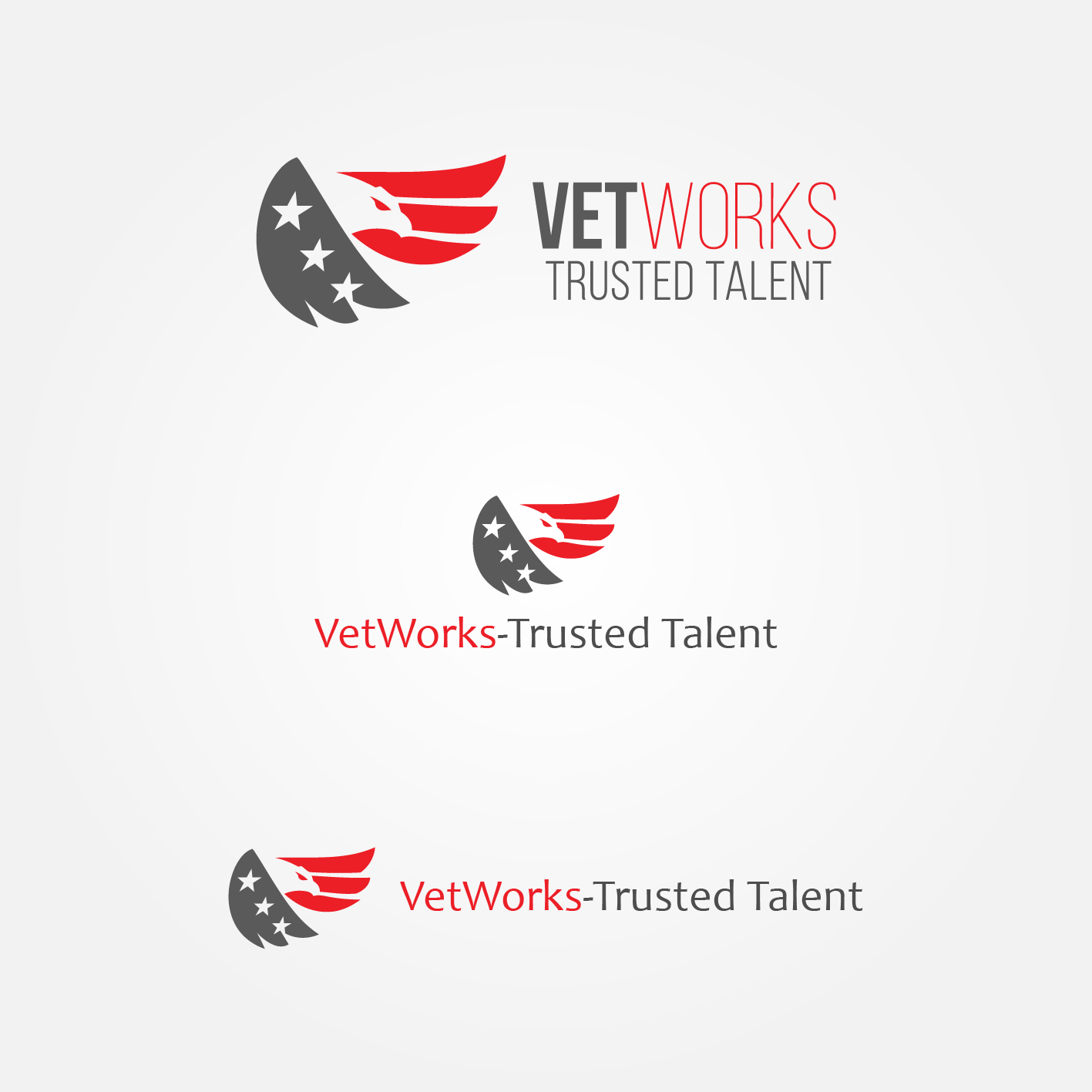 Serious, Modern, It Service Logo Design for VetWorks - Trusted Talent ...