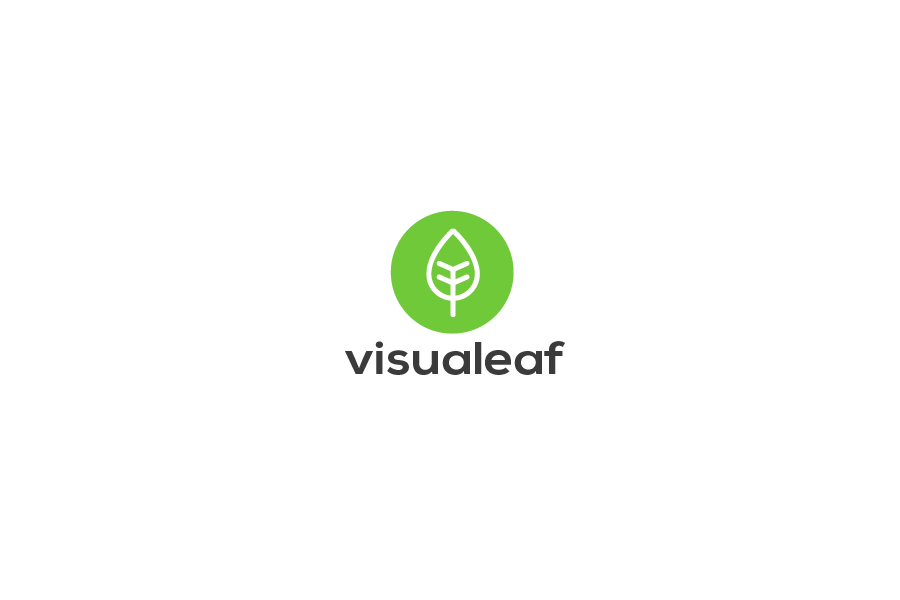 Playful, Modern, Software Developer Logo Design for VisuaLeaf or ...