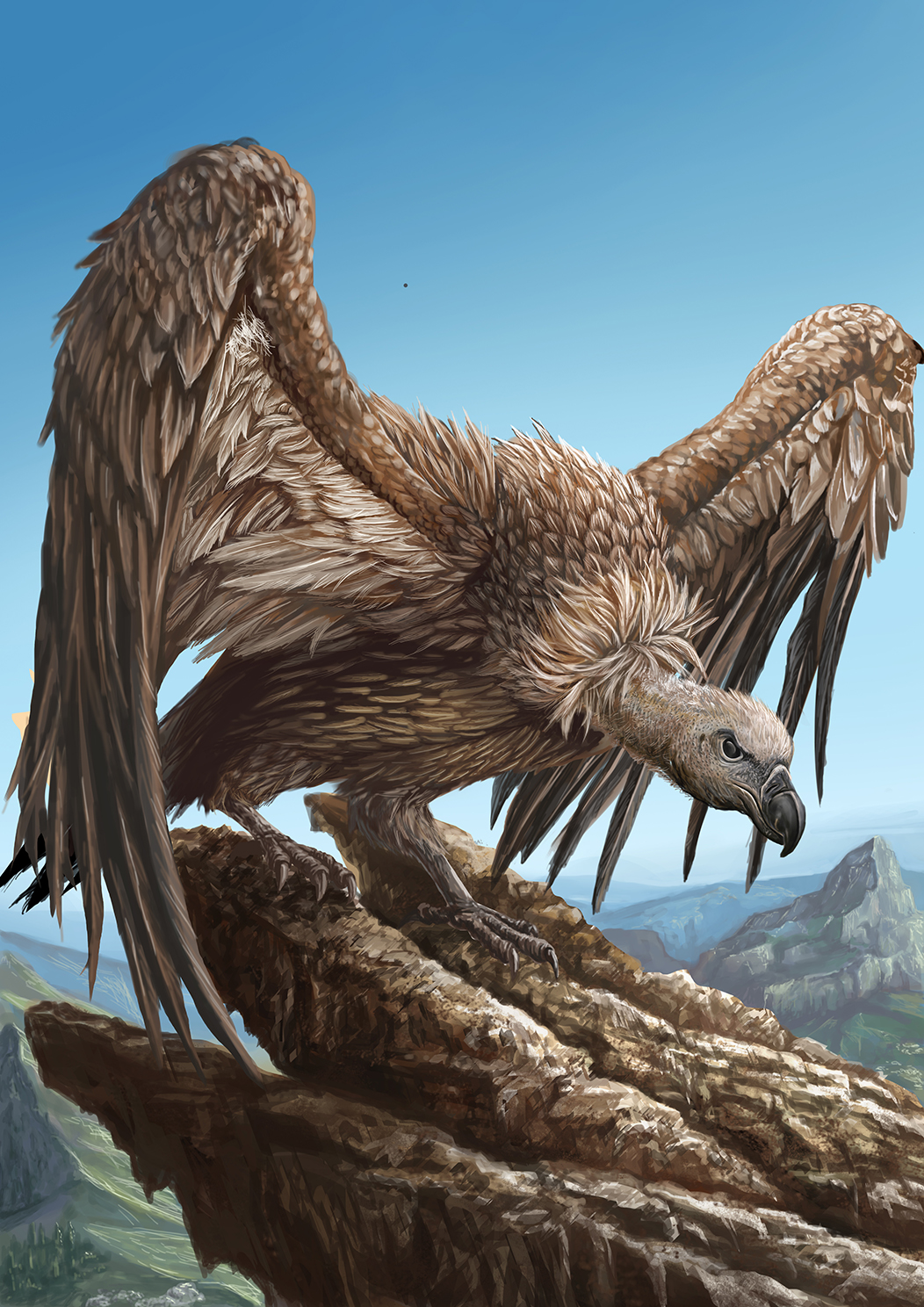 Illustration Design for Pro Image Share, LLC by icirotrisna | Design ...