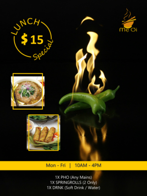 Lunch Special | 12 Poster Designs for Pho and Go Pty Ltd