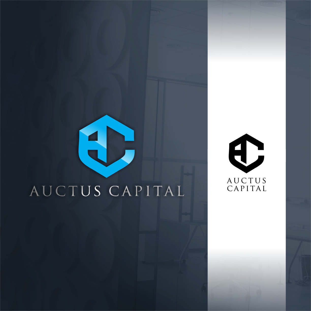 Elegant, Playful Logo Design for Auctus Capital by Arham Hidayat ...