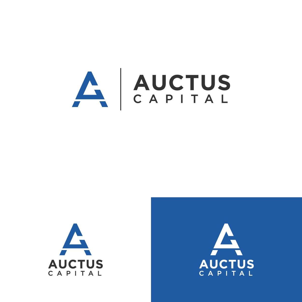 Elegant, Playful Logo Design for Auctus Capital by TerryBogard | Design ...