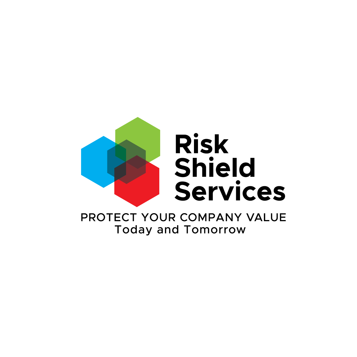 Modern, Conservative, It Service Logo Design for Risk Shield Services ...