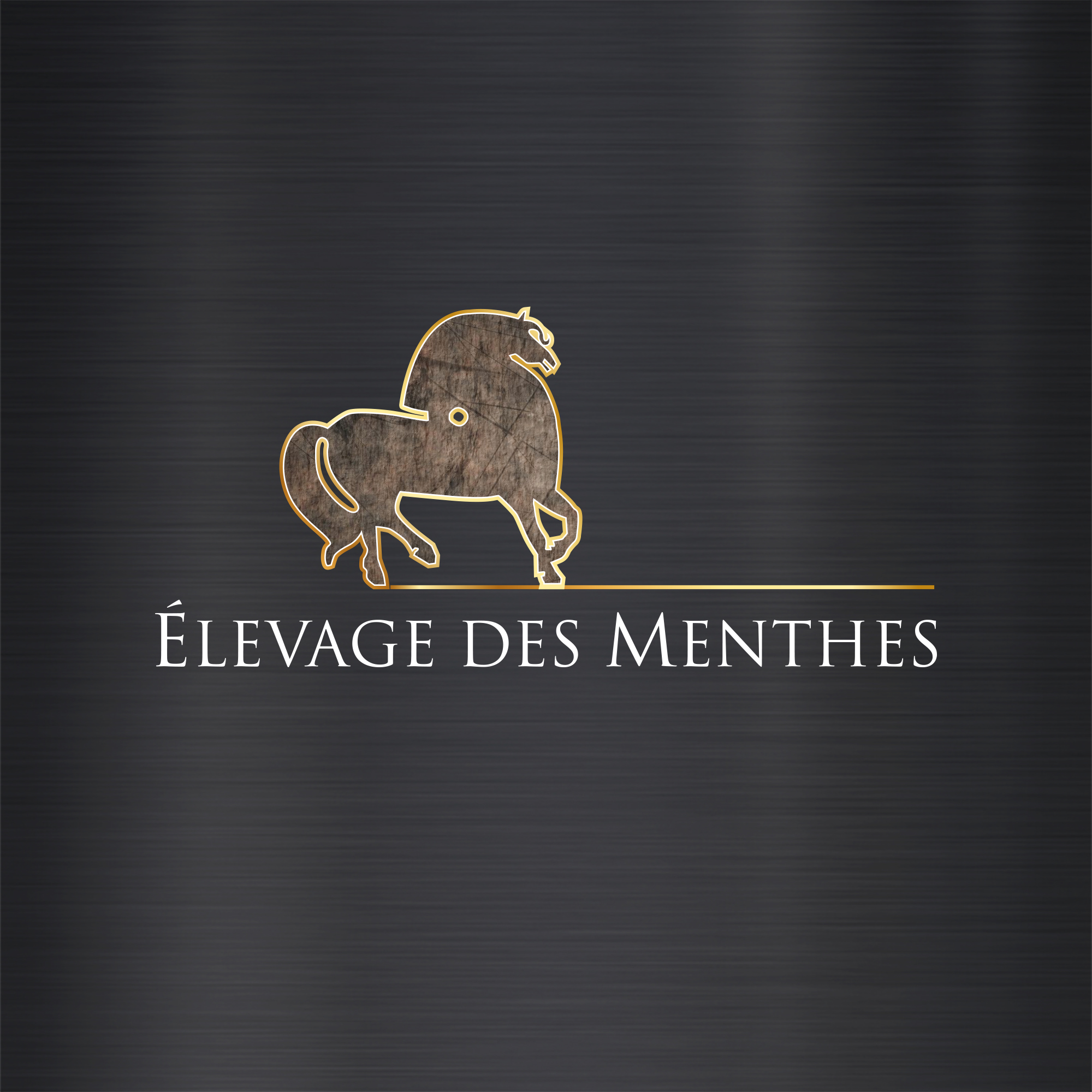Upmarket, Professional Logo Design for Élevage des menthes by Dream to ...