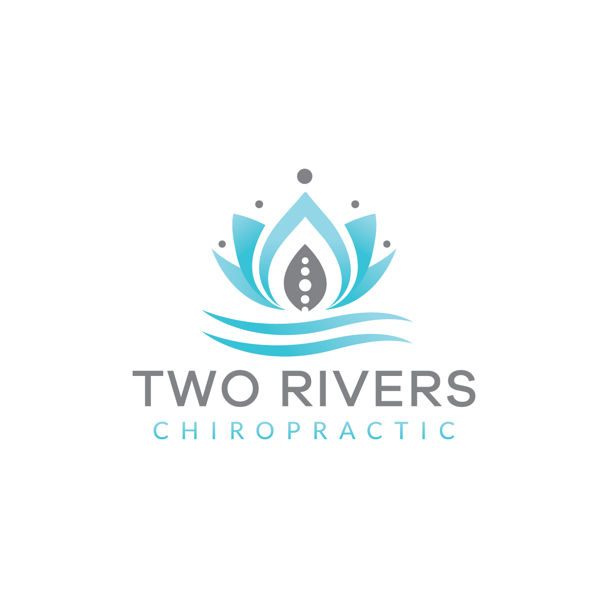 Elegant, Personable, Chiropractic Logo Design for Two Rivers ...