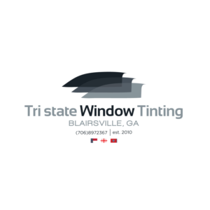 Window Tinting Logos | 150 Custom Window Tinting Logo Designs - Page 4