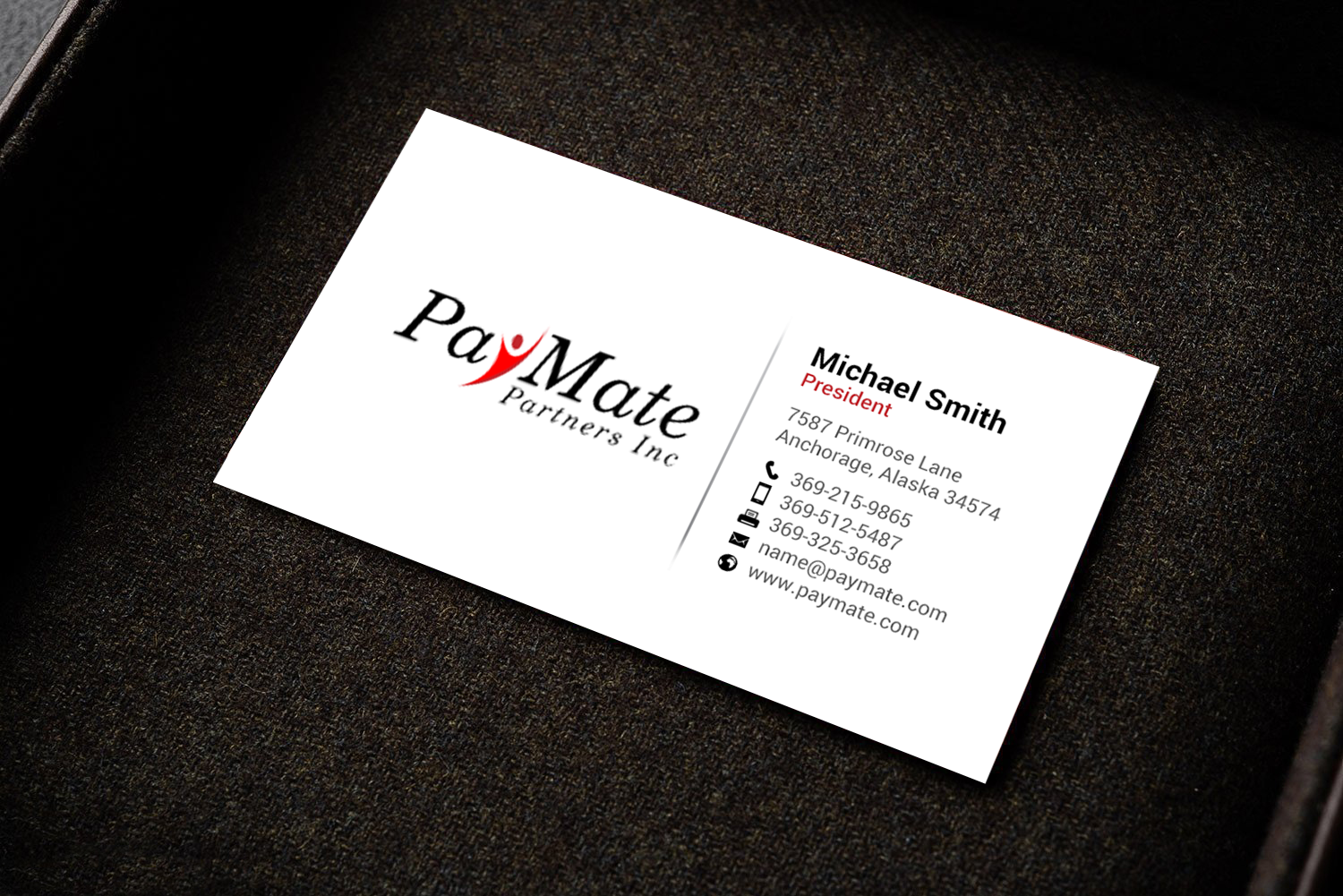 Business Card Design for PayMate Partners Inc by chandrayaan.creative ...