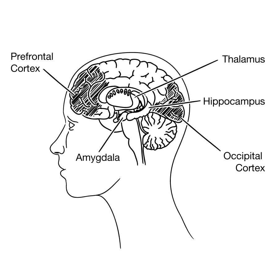Modern, Elegant Illustration Design for Quantum Thinking by nicholash ...