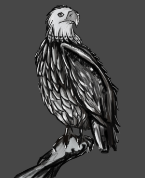 Eagle Graphics | 55 Custom Eagle Graphic Designs