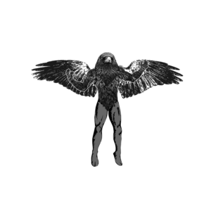 Crow Graphics | 5 Custom Crow Graphic Designs