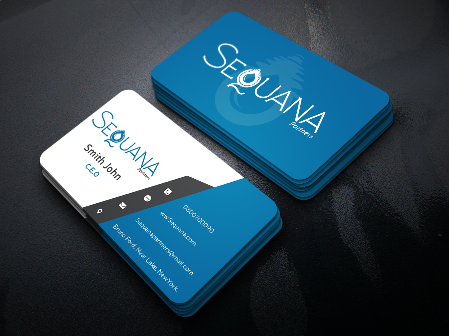 Elegant, Playful Logo Design for Sequana Partners or Sequana by Gexton ...