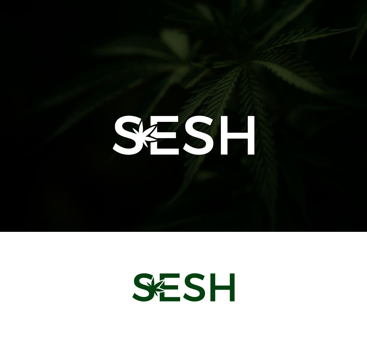 Playful, Modern Logo Design for SESH by stokes18 | Design #22894820