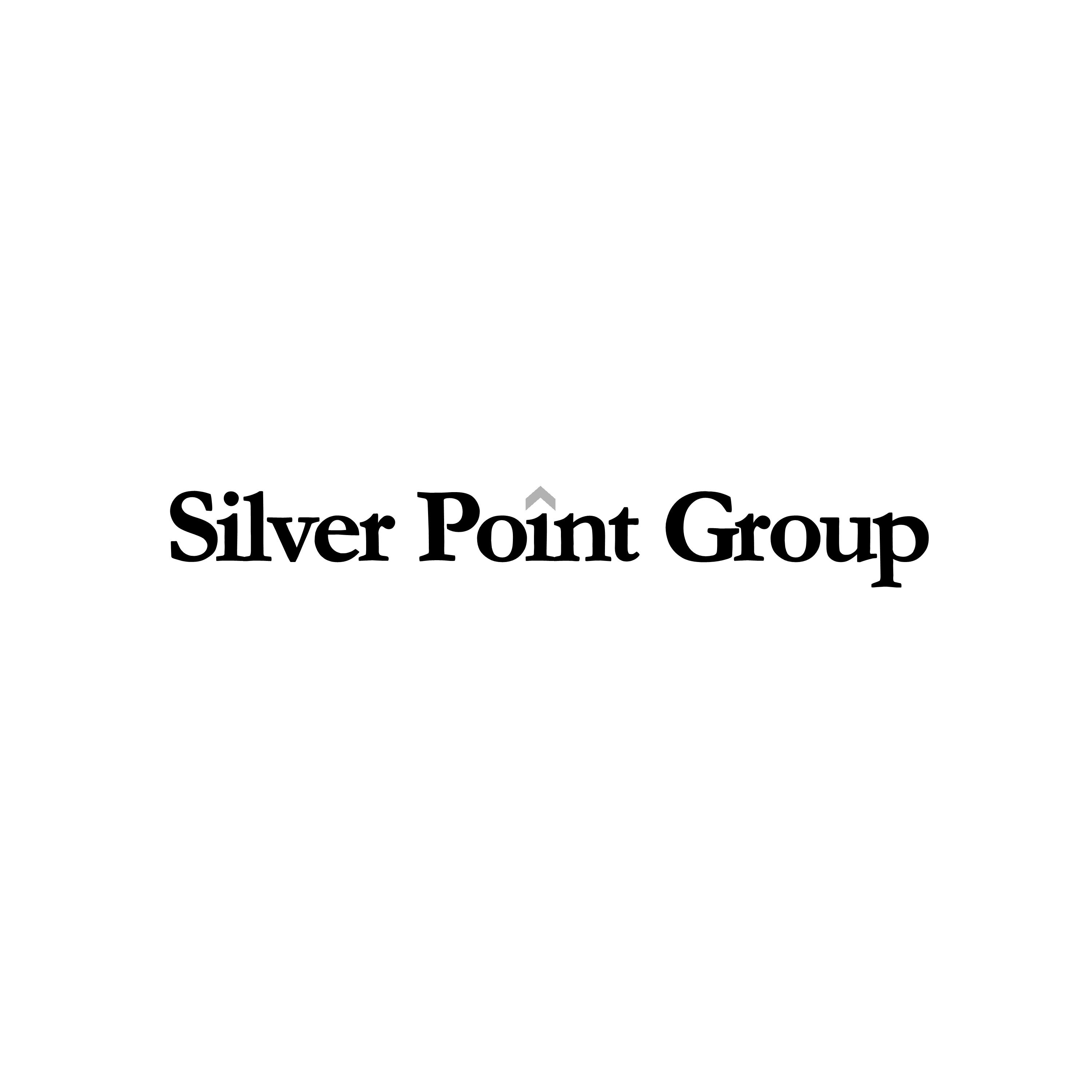 Serious, Professional, Real Estate Logo Design for Silver Point Group ...