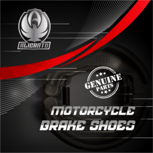 Carton Box Packaging For Motorcycle Brake Shoe - Alicanto Brand | 58 ...