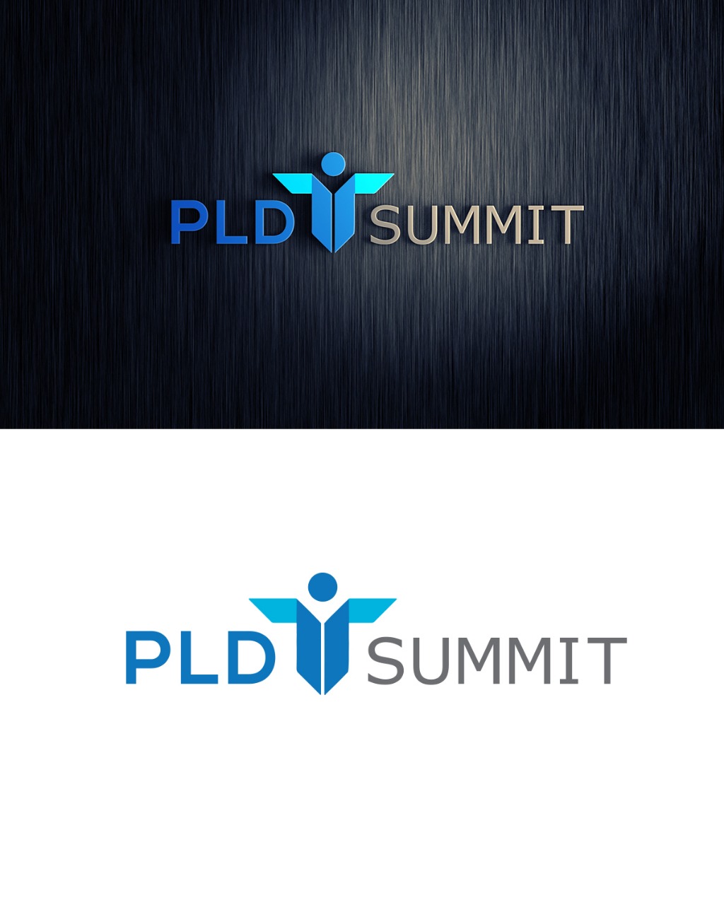 Elegant, Playful Logo Design for PLD Summit by madeline 3 | Design ...