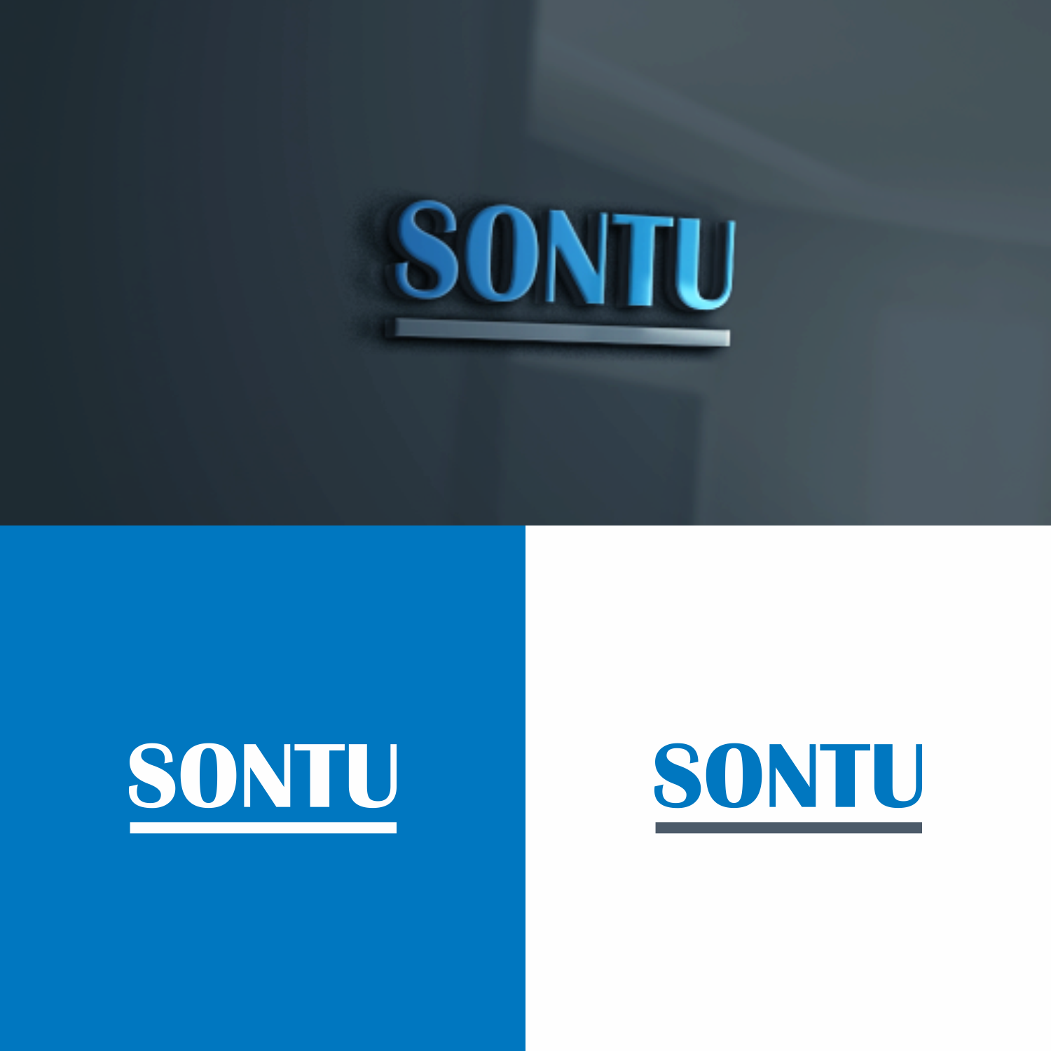 Serious, Modern Logo Design for Sontu by ketut pujijaya | Design #23258689