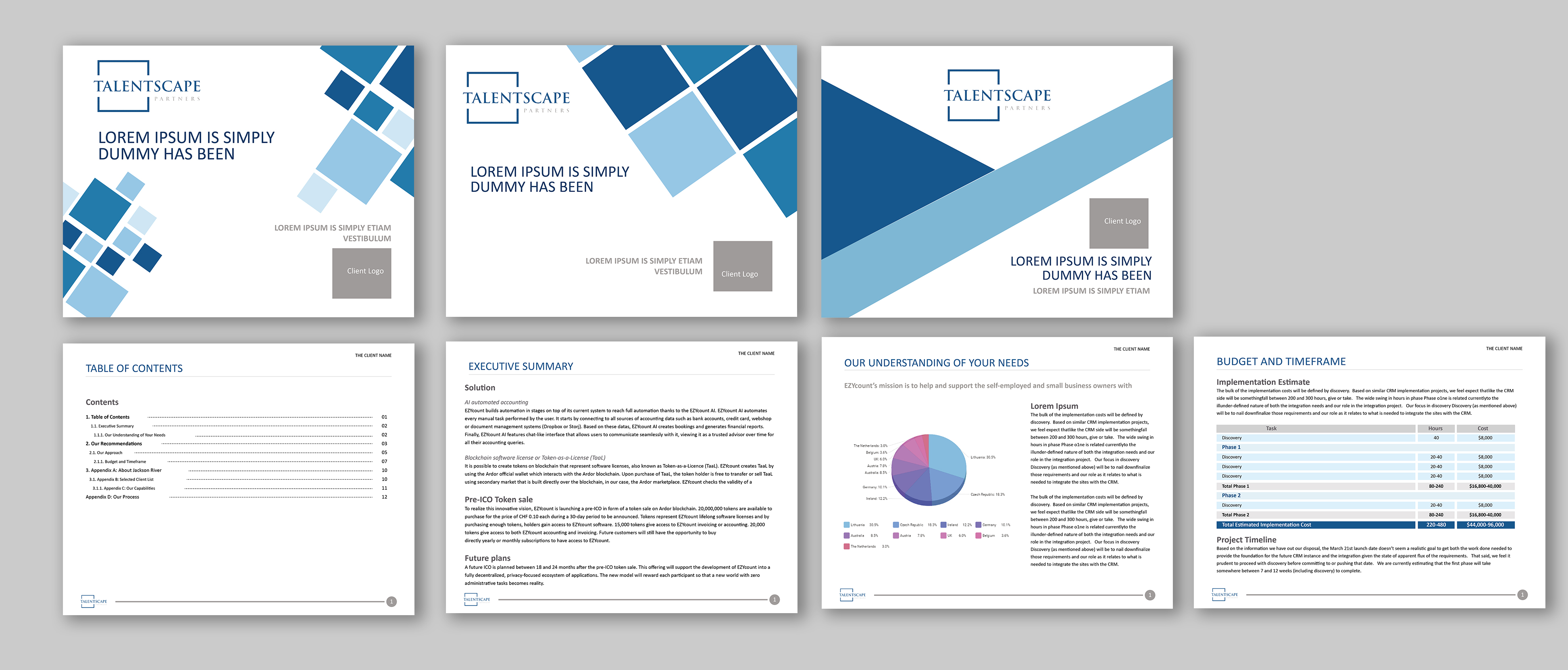 Template For Management Consulting Firm To Use With Investors 20 Word Template Designs For A 
