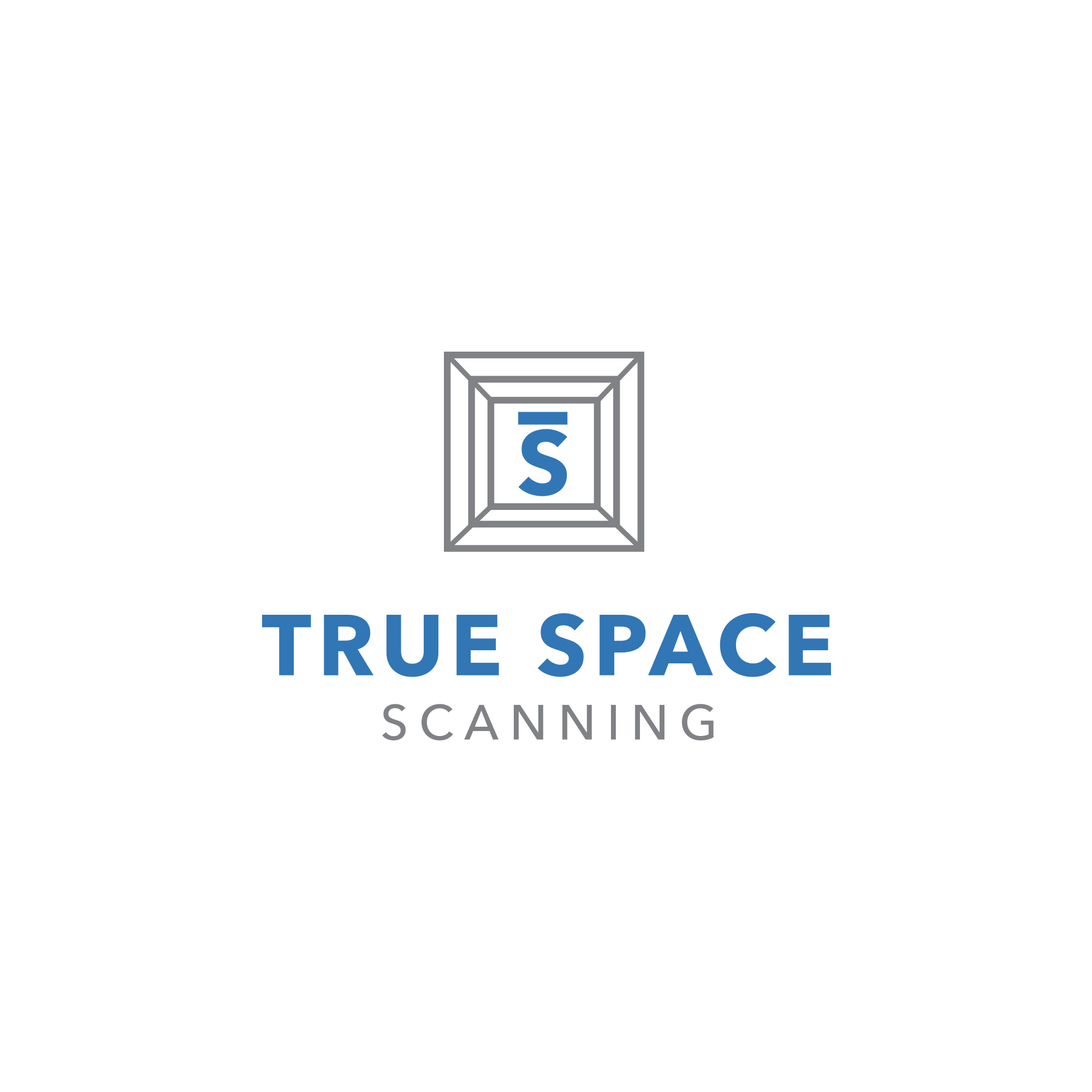 Modern, Professional, Real Estate Logo Design for True Space Scanning ...