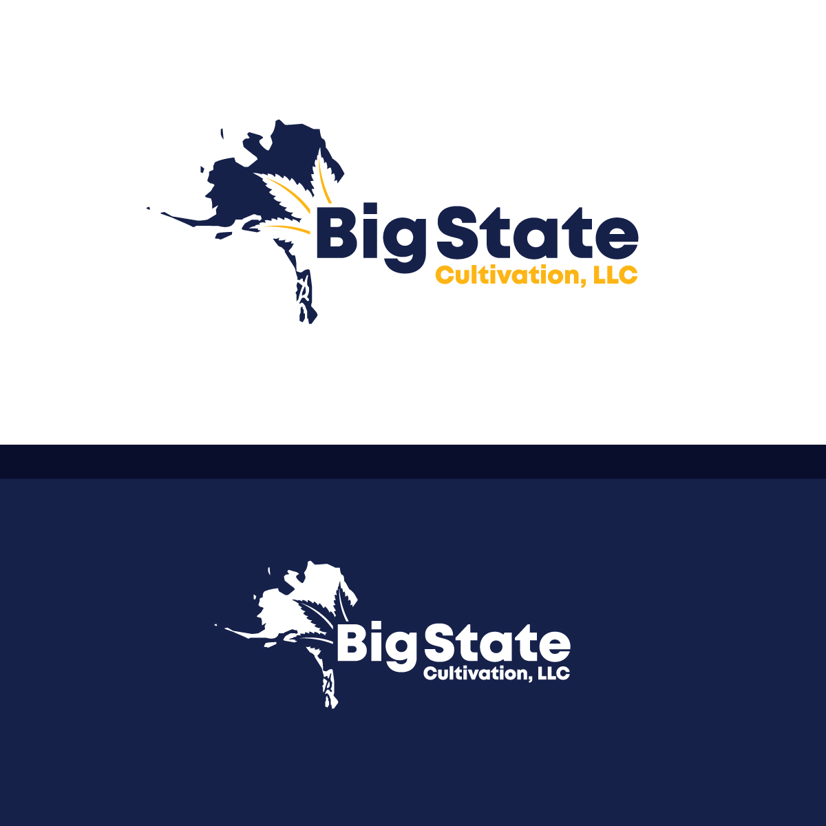 Professional, Conservative Logo Design for Big State Cultivation, LLC ...