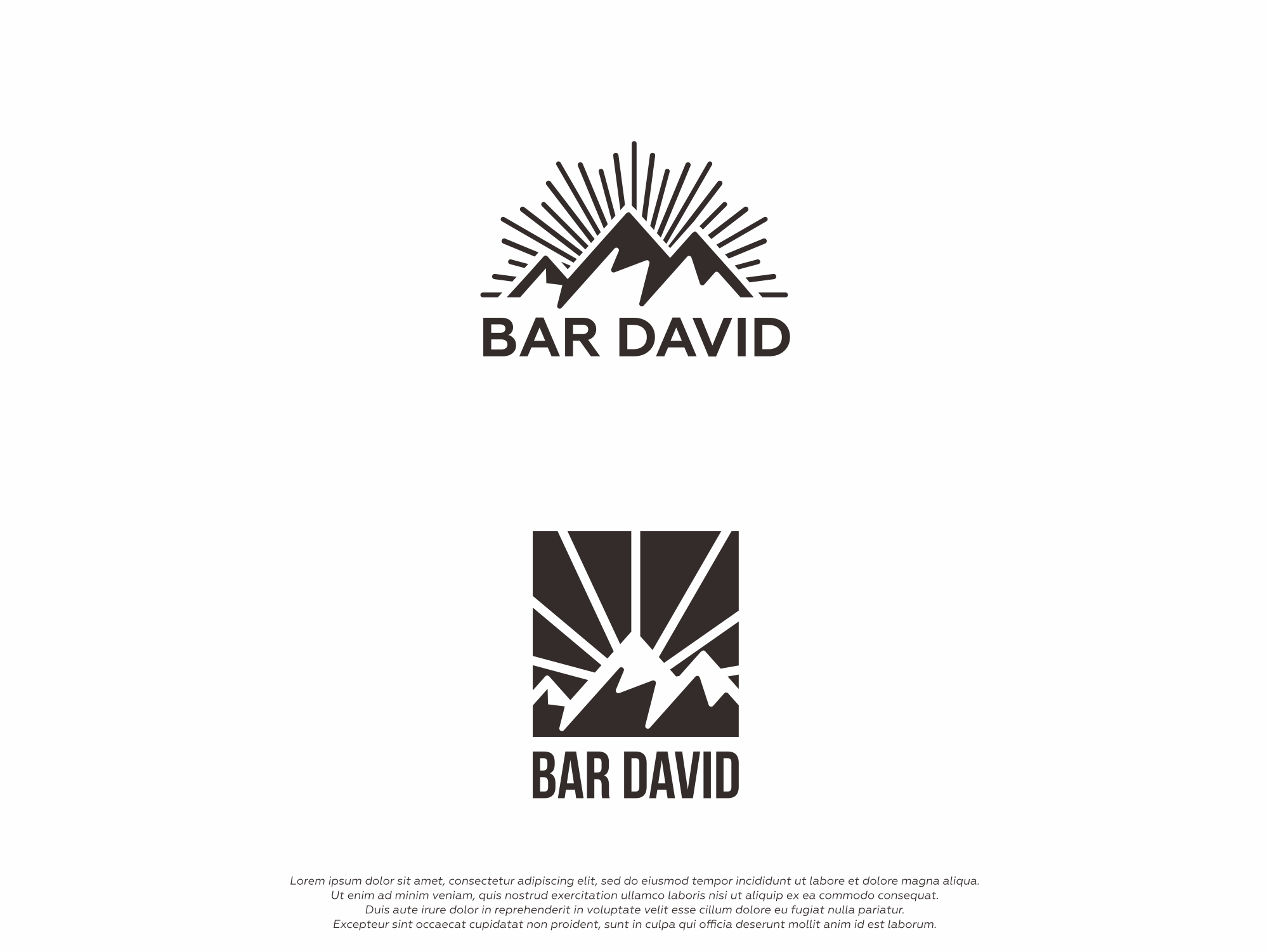 Elegant, Playful Logo Design for BAR DAVID by nusdofficial | Design ...