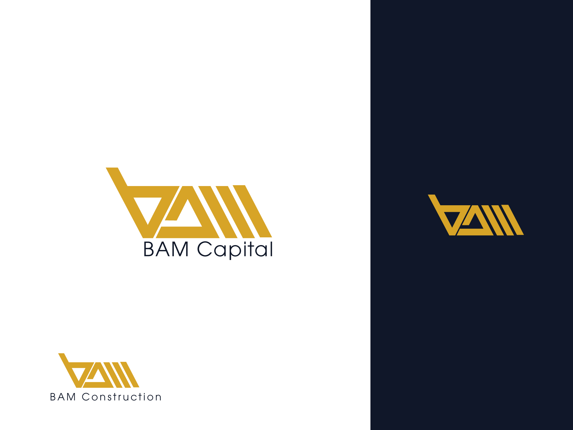 Bold, Serious Logo Design for Logo1: BAM Capital Logo 2: BAM ...