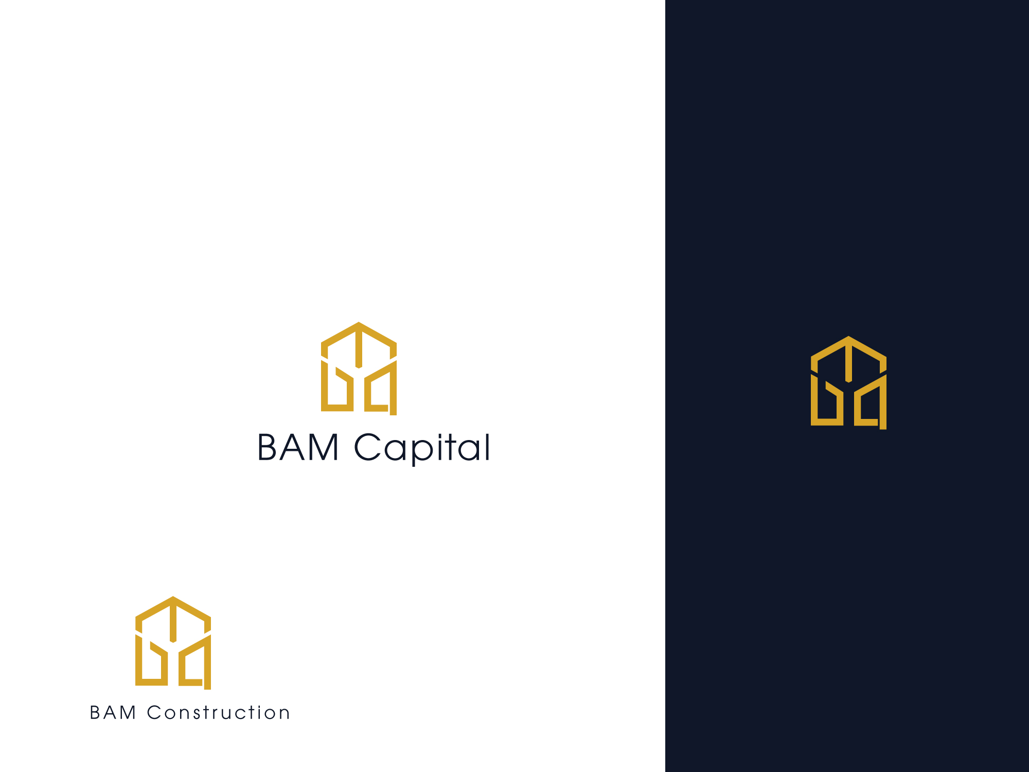 Bold, Serious Logo Design for Logo1: BAM Capital Logo 2: BAM ...