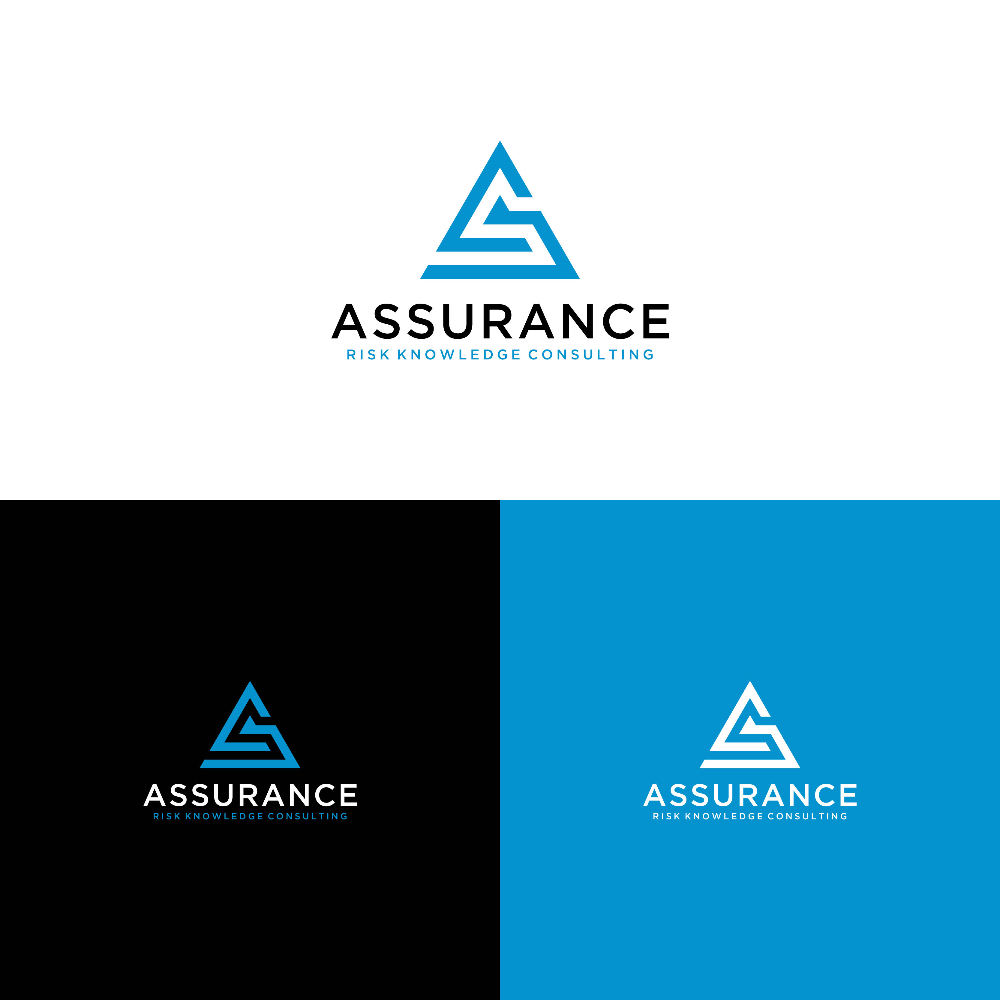 Modern, Bold, Management Consulting Logo Design for "Assurance Risk ...