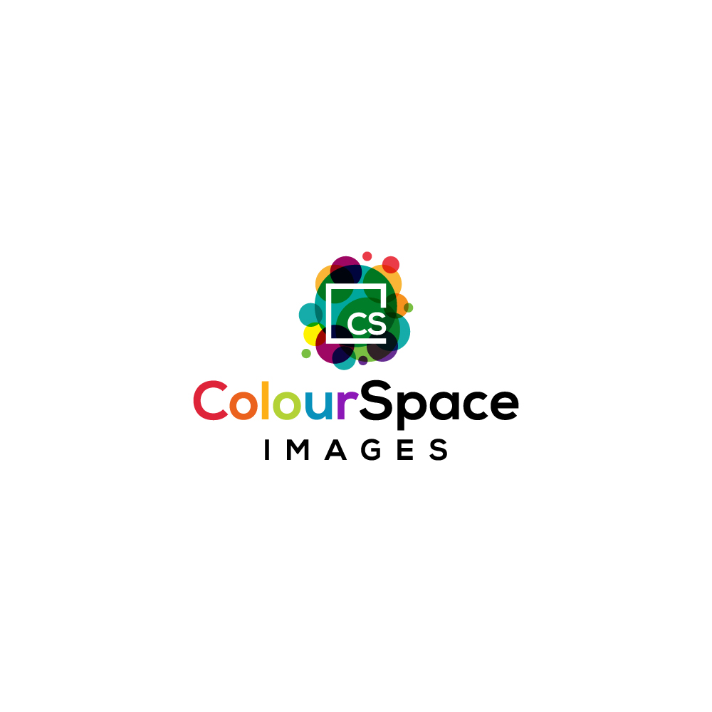 Bold, Serious Logo Design for ColourSpace Images by sushsharma99 ...