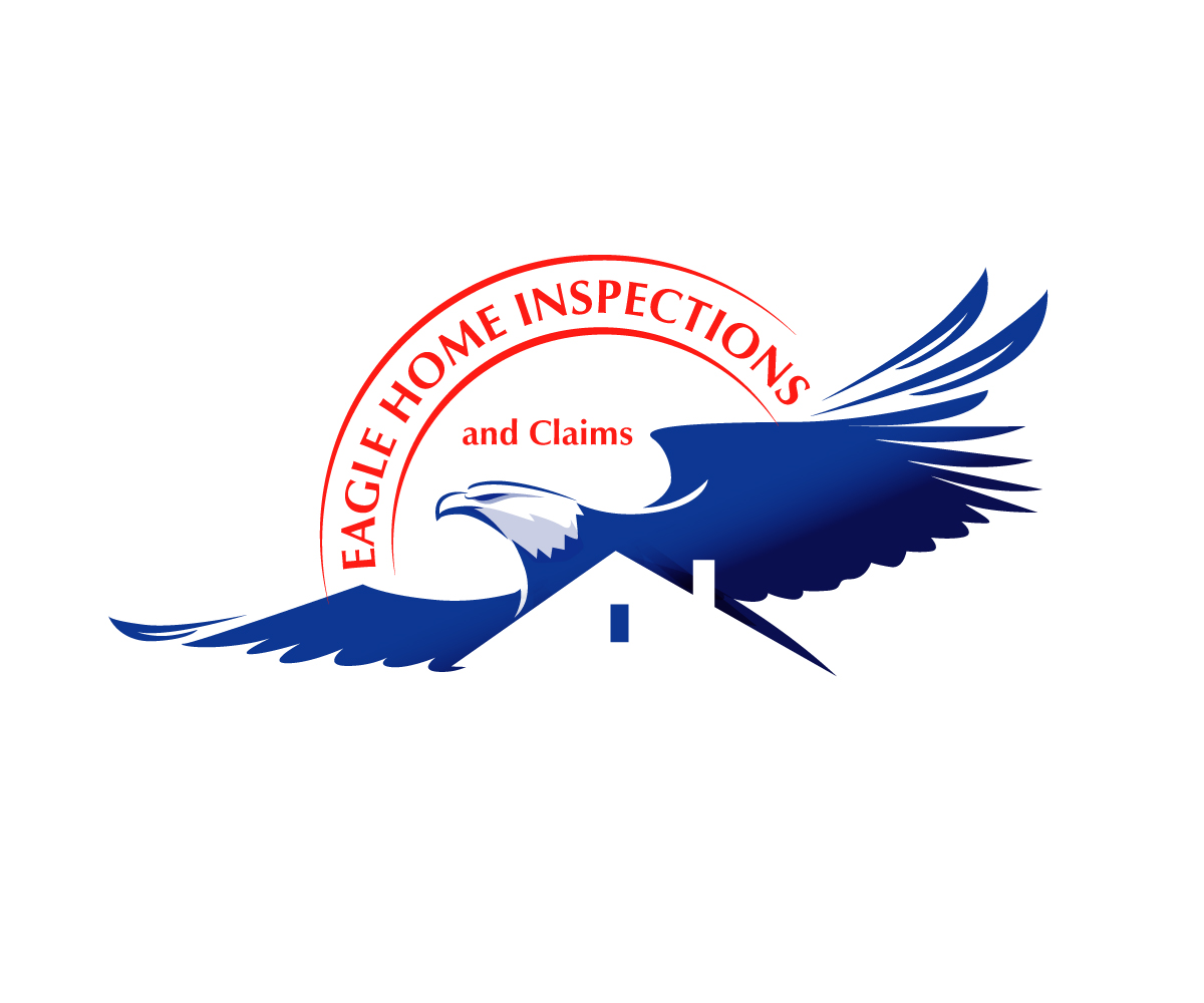 Serious, Bold, Home Inspection Logo Design for Eagle Home Inspections ...