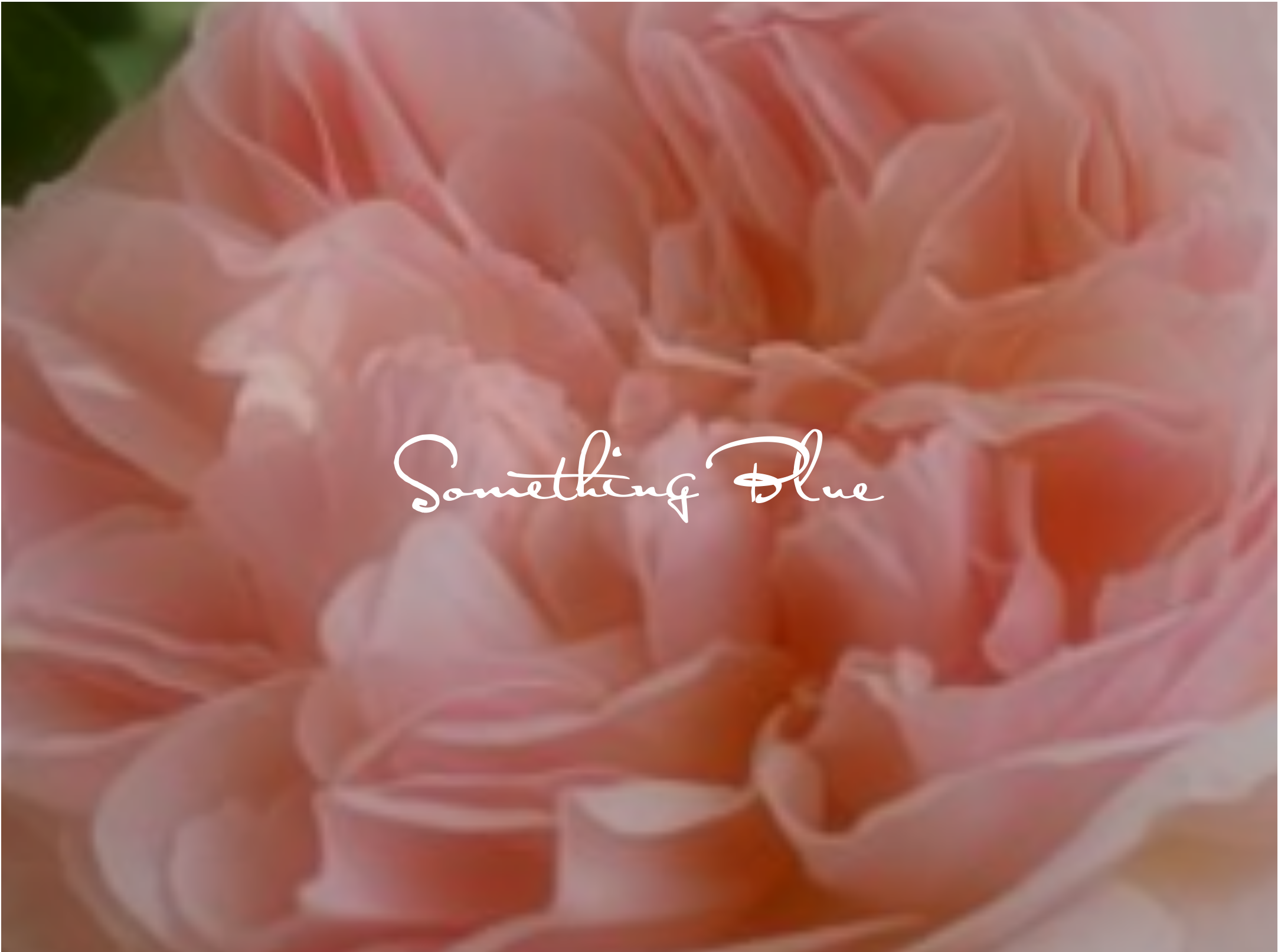 Elegant, Feminine, Wedding Planner Logo Design for Something . Blue by ...