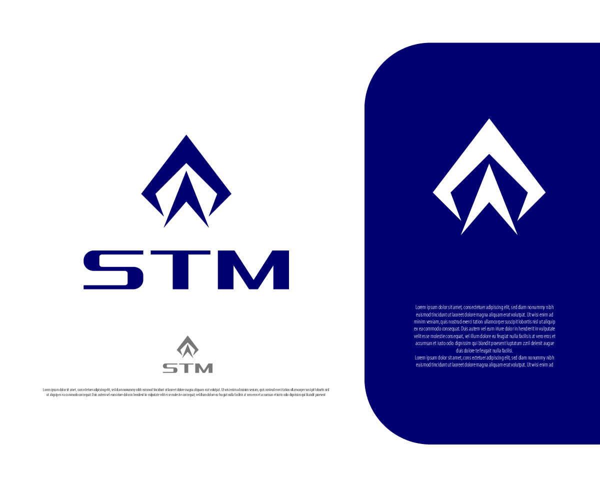 Logo Design for STM by Ng V Duc | Design #24152425