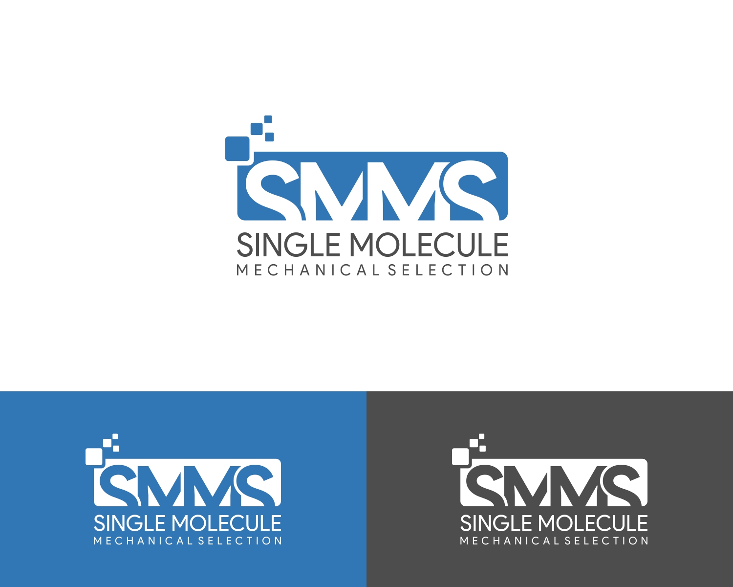 Elegant, Modern Logo Design for SMMS by 92logo | Design #24298715