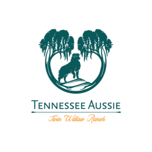 Australian Shepherd Logos | 29 Custom Australian Shepherd Logo Designs