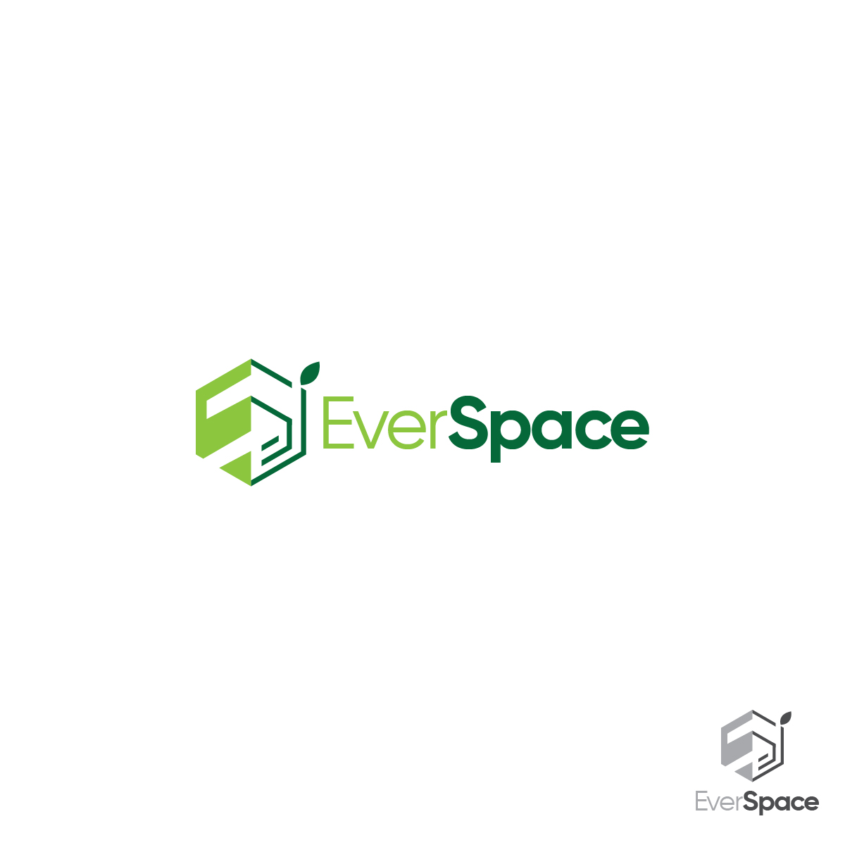 Logo Design for EverSpace by Kreative Fingers | Design #25131495