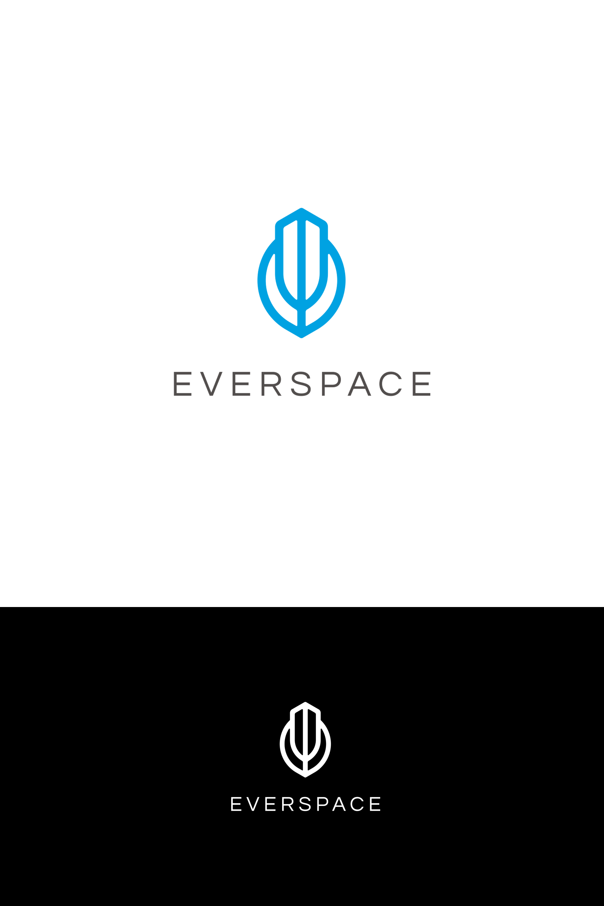 Logo Design for EverSpace by MunirMishbah | Design #25168443