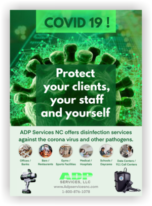 Data Flyers | 117 Custom Data Flyer Designs