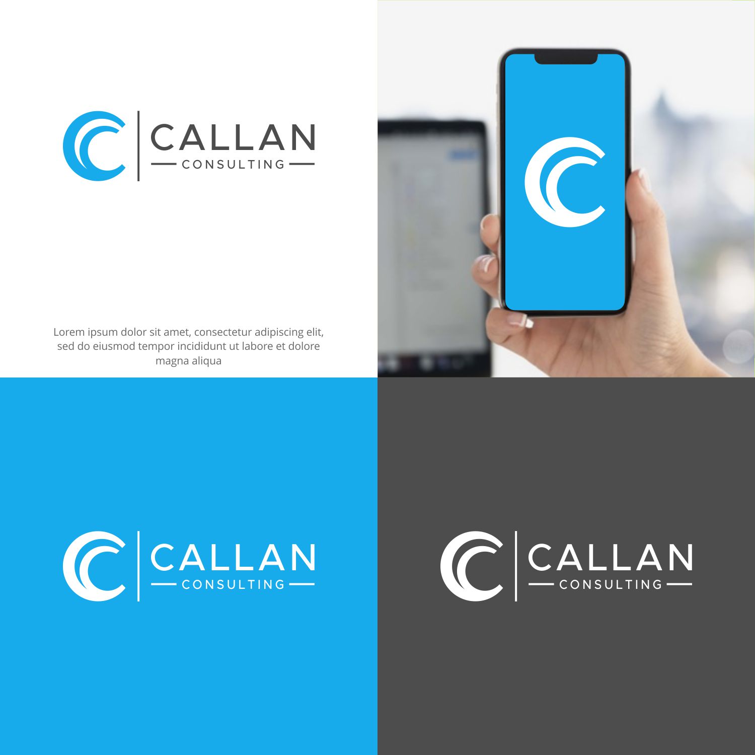 Logo Design for Callan Consulting by SigmaStudio | Design #25333227