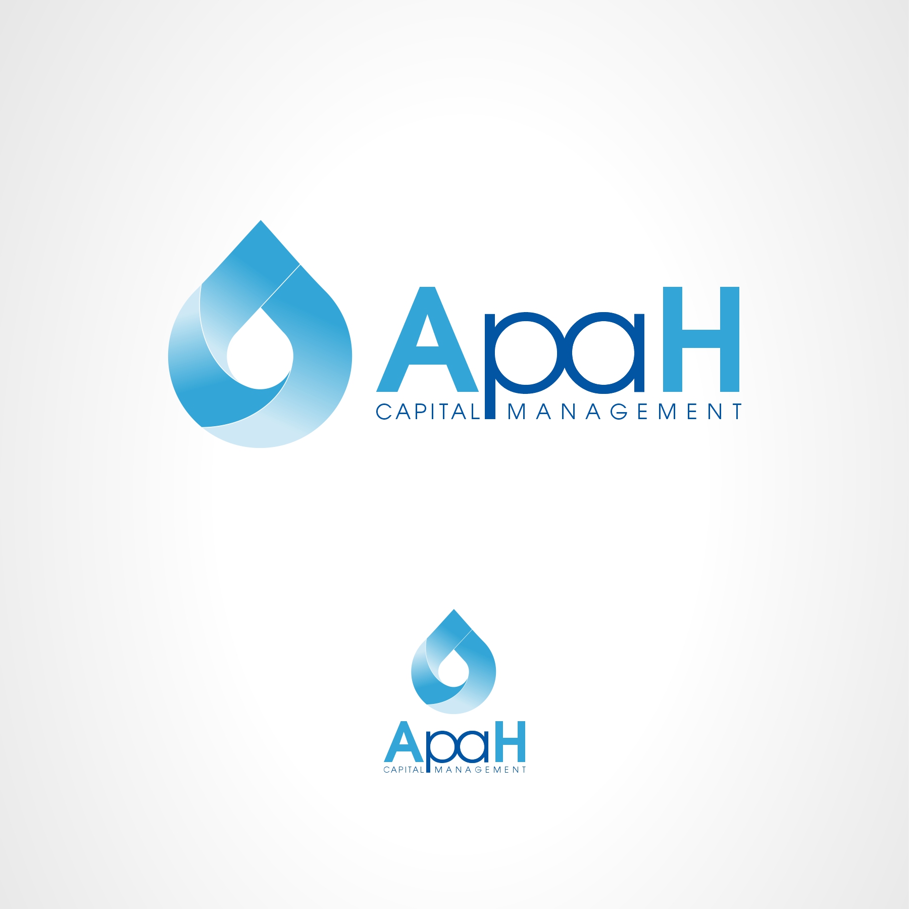 Elegant, Serious, Financial Advisor Logo Design for ApaH by ...
