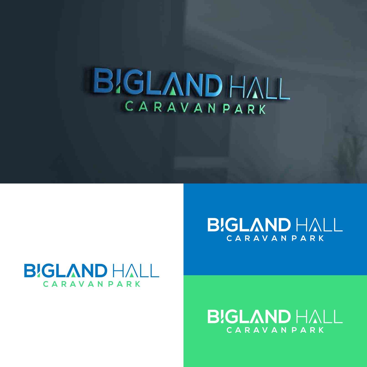 Modern, Professional Logo Design for Bigland Hall Caravan Park by mbah ...