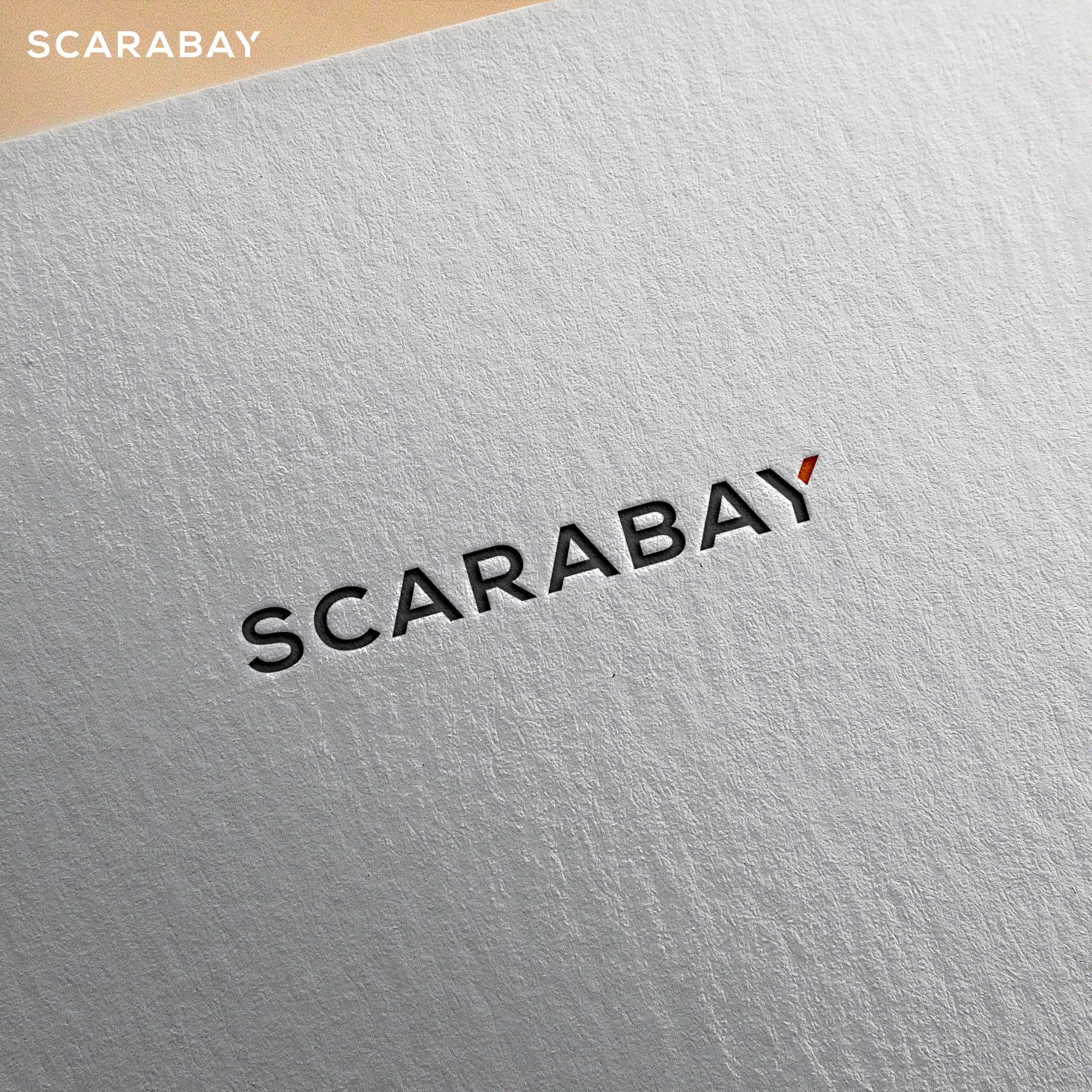 Logo Design for SCARABAY by Confidence | Design #25762268