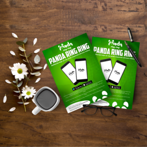 Panda Flyers | 10 Custom Panda Flyer Designs