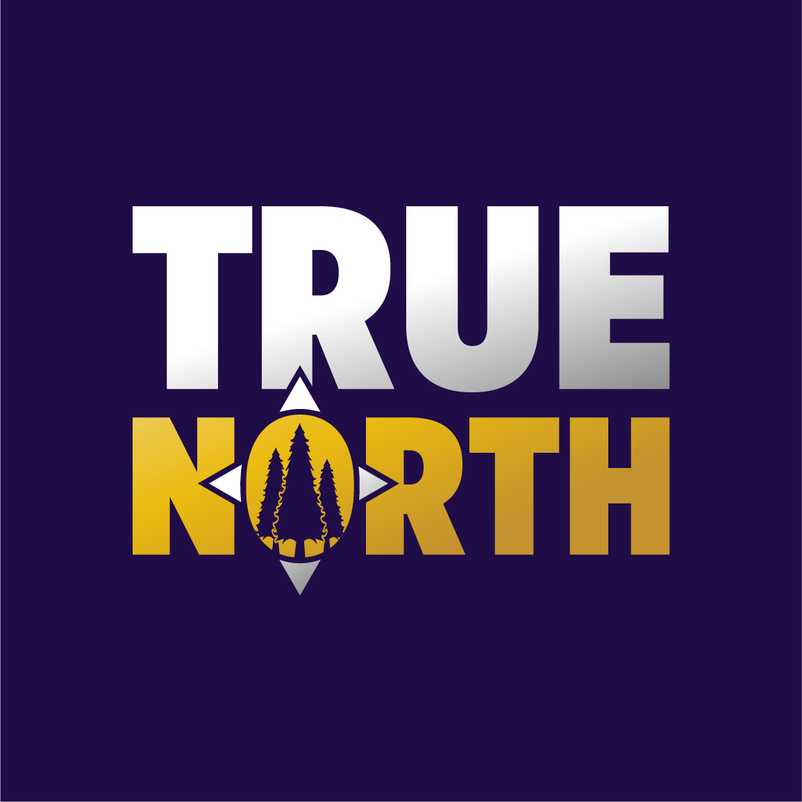 Logo Design for TRUE NORTH by Fanol Ademi | Design #25949704