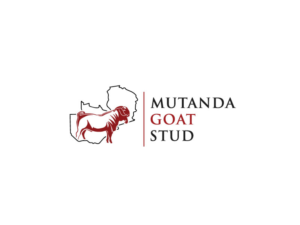 Bucks Logos | 155 Custom Bucks Logo Designs