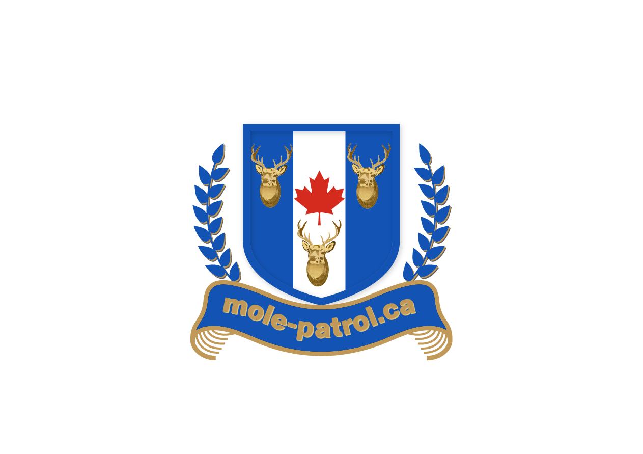 Masculine, Bold Logo Design for mole-patrol.ca by The Seventh Key Magic ...